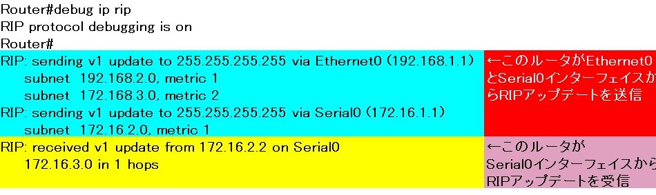 ルーティングプロトコルの確認